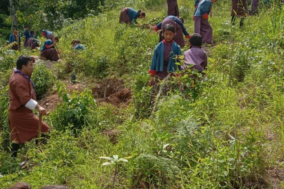 Planting trees for future generation | World Scouting