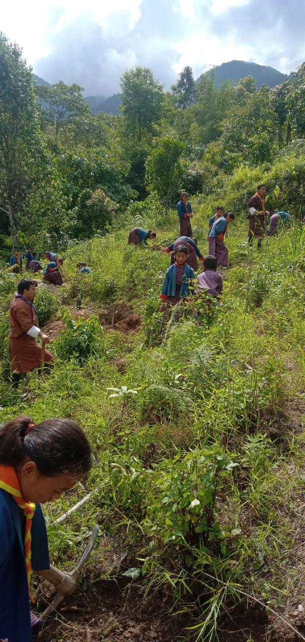 Planting trees for future generation | World Scouting