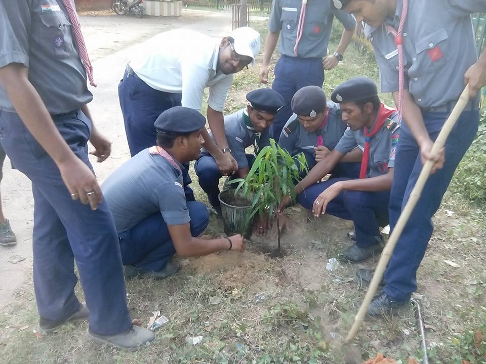 Tree Plantation Programme World Scouting tree-plantation-programme-world-scouting