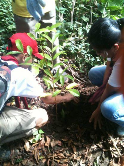 TREE PLANTING ACTIVITY 2013 | World Scouting