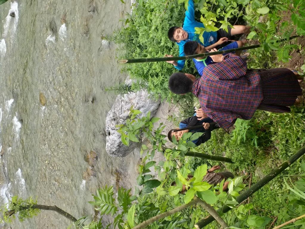Planting Bamboo Saplings along the Nyera Ama Chhu | World Scouting