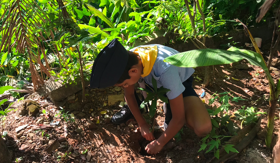 Planting Kumbuk Tree | World Scouting