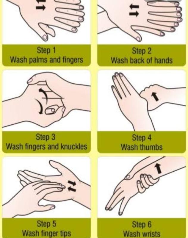 6 Steps of handwashing | World Scouting
