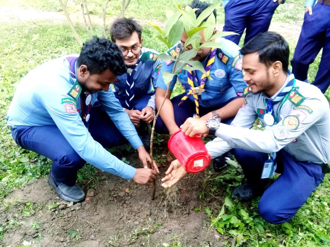 Tree Plantation World Scouting Tree Plantation World Scouting