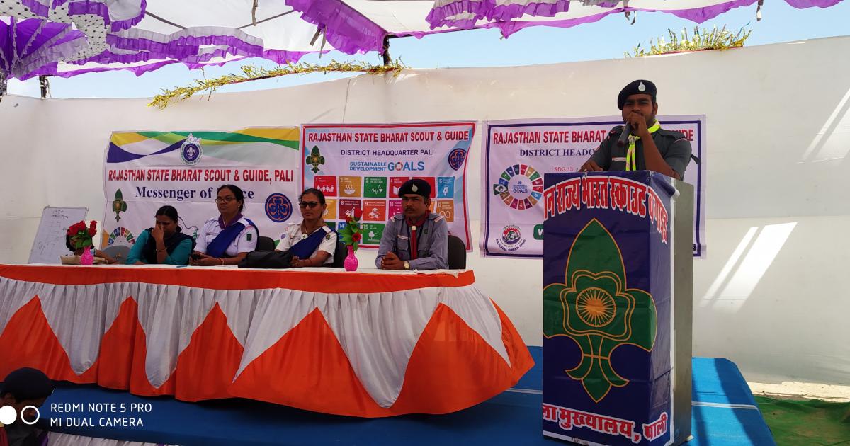 SDG mini seminaar | World Scouting