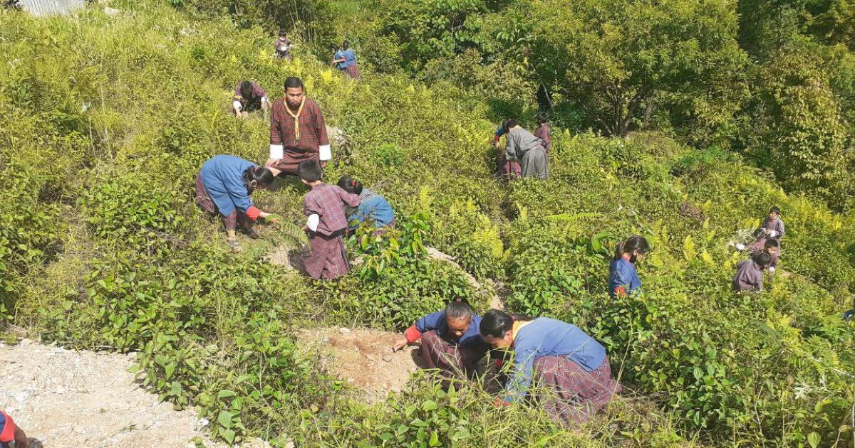 Planting trees for future generation | World Scouting